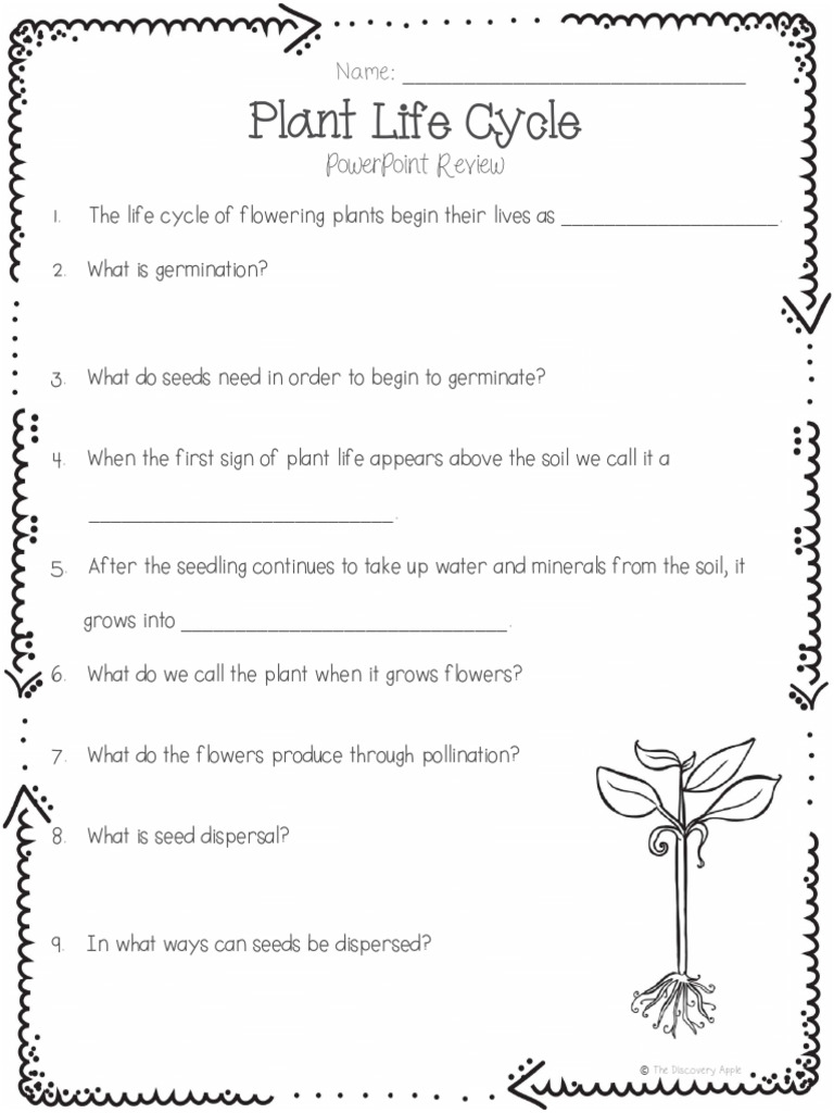 Plant Life Cycle Review Questions | PDF