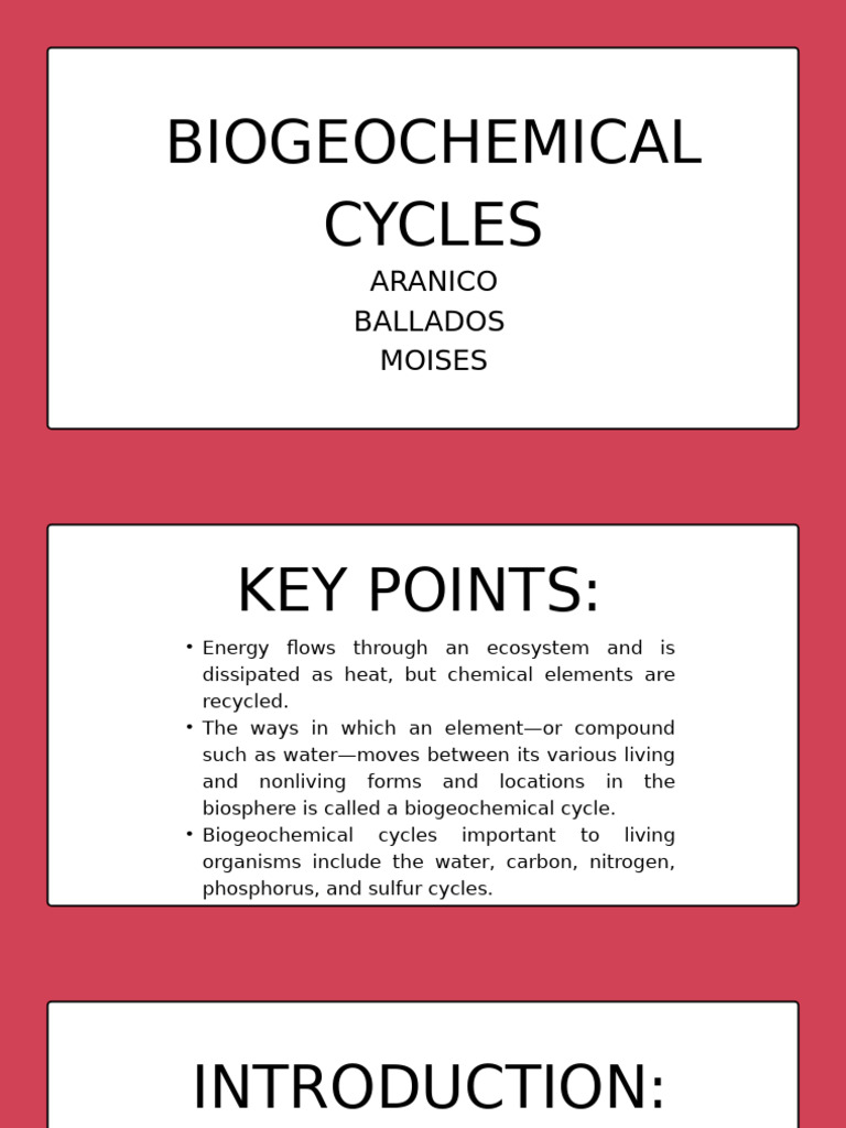 Understanding Biogeochemical Cycles | PDF | Water Cycle | Eutrophication
