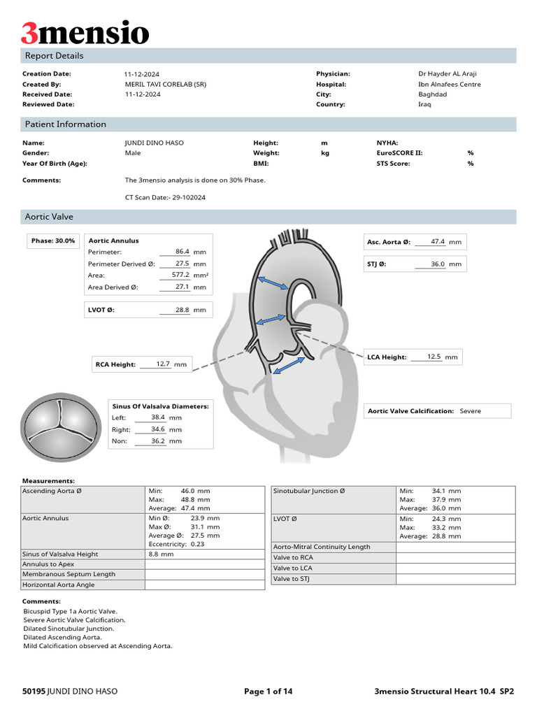 3mensio Report - 30% - J D H - DR Hayder AL Araji - Ibn Alnafees Centre ...