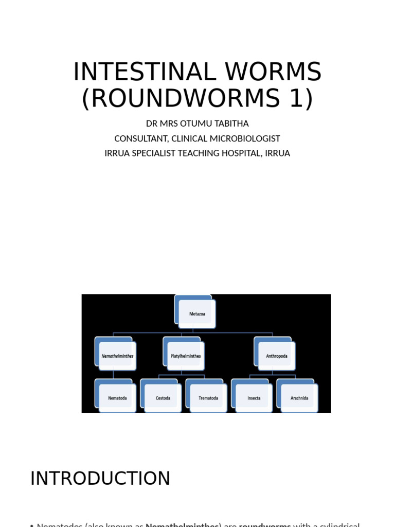 Understanding Intestinal Roundworms | PDF | Medical Specialties ...