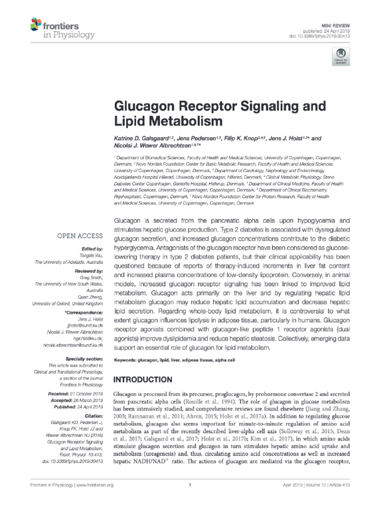 Glucagon Receptor Signaling and Lipid Metabolism | PDF