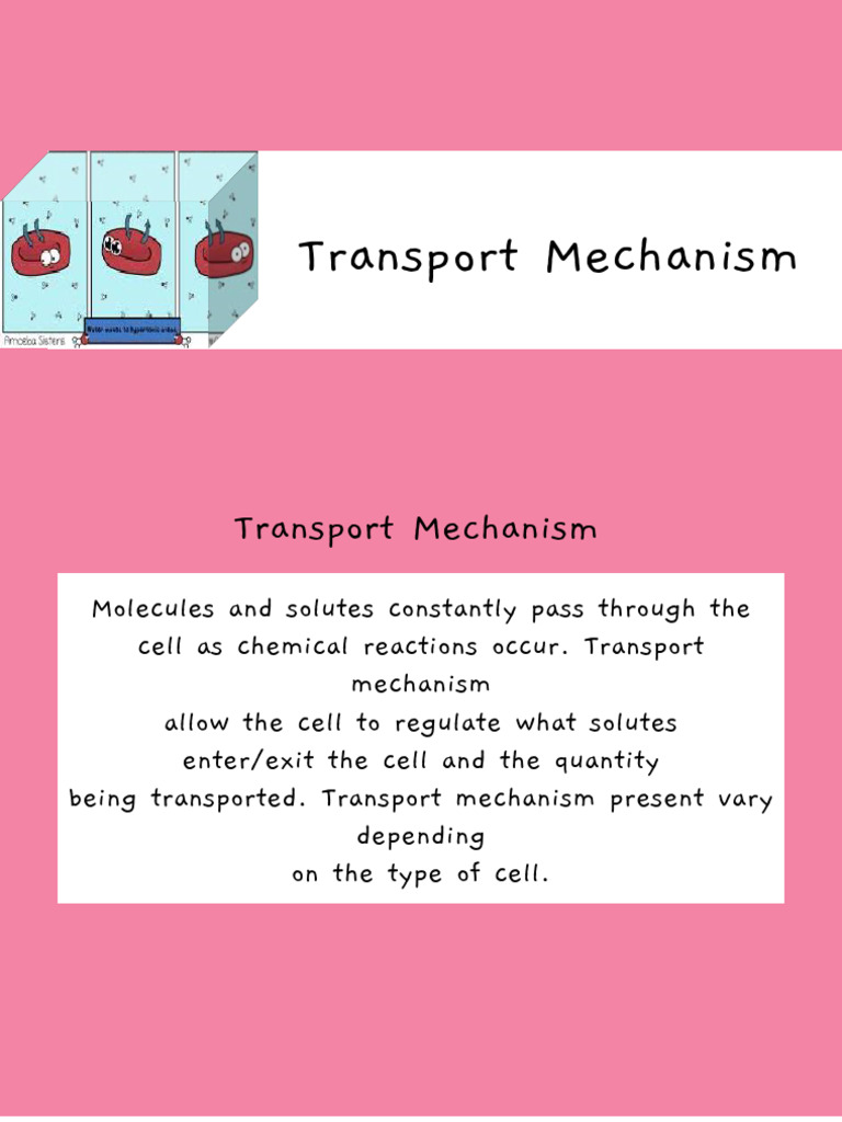 Tranform Mechanism | PDF | Osmosis | Cell Membrane