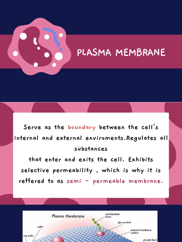 Plasma Membrane Structure and Functions | PDF | Cell Membrane | Proteins