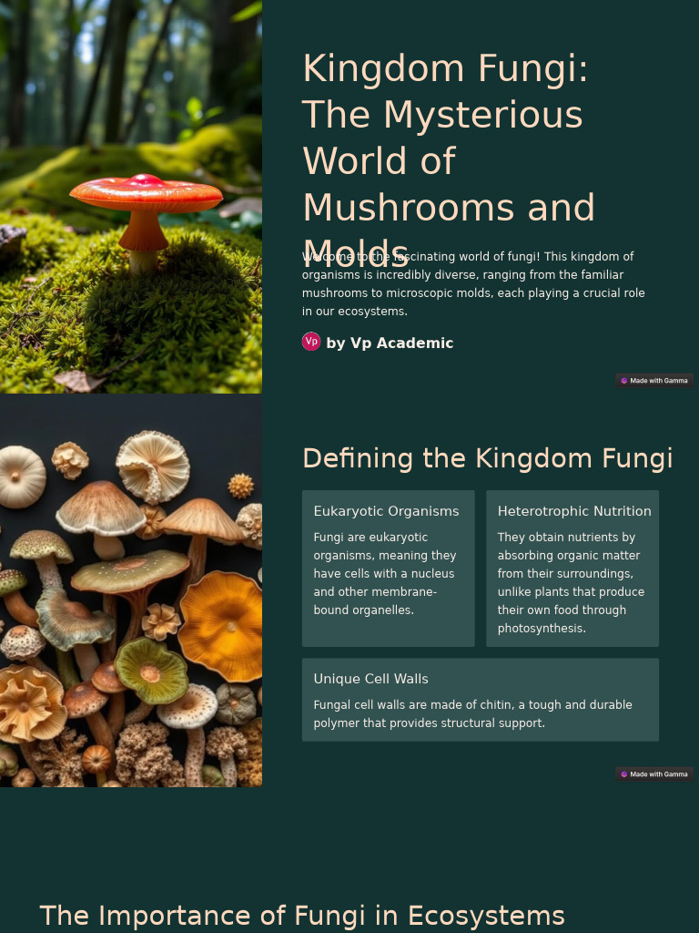 Kingdom Fungi The Mysterious World of Mushrooms and Molds | PDF ...