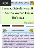 Dambii Ittin Bulmaata Waldaa | PDF