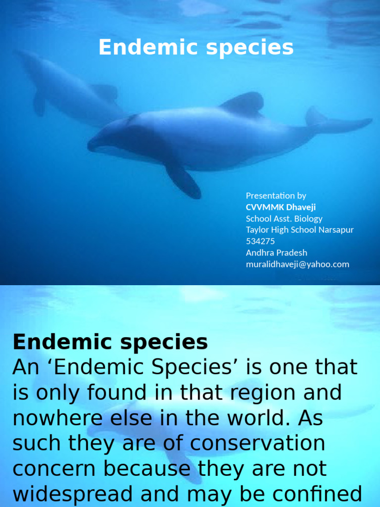Endemicspeciesoftheworld 160826091107 | PDF | Birds
