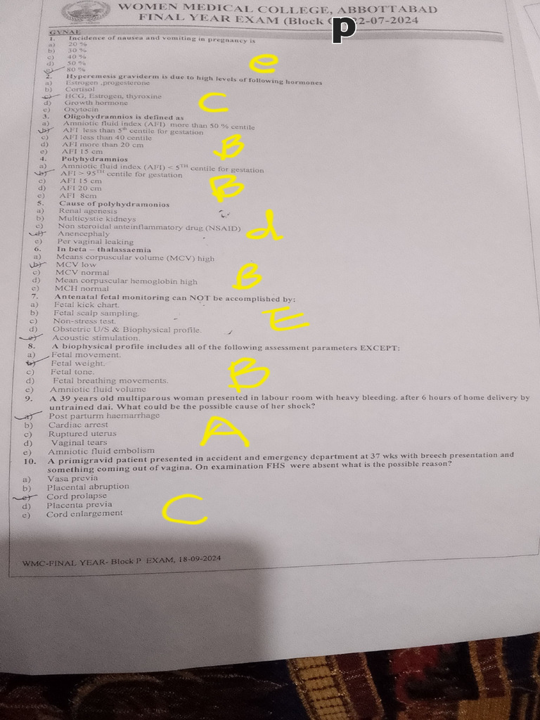 WMC Block P 2024 | PDF