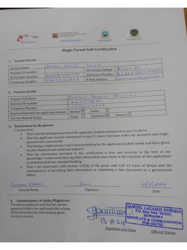 Single Parent form | PDF