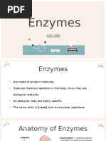 Amoeba Sisters Enzyme Handout | PDF | Enzyme | Catalase