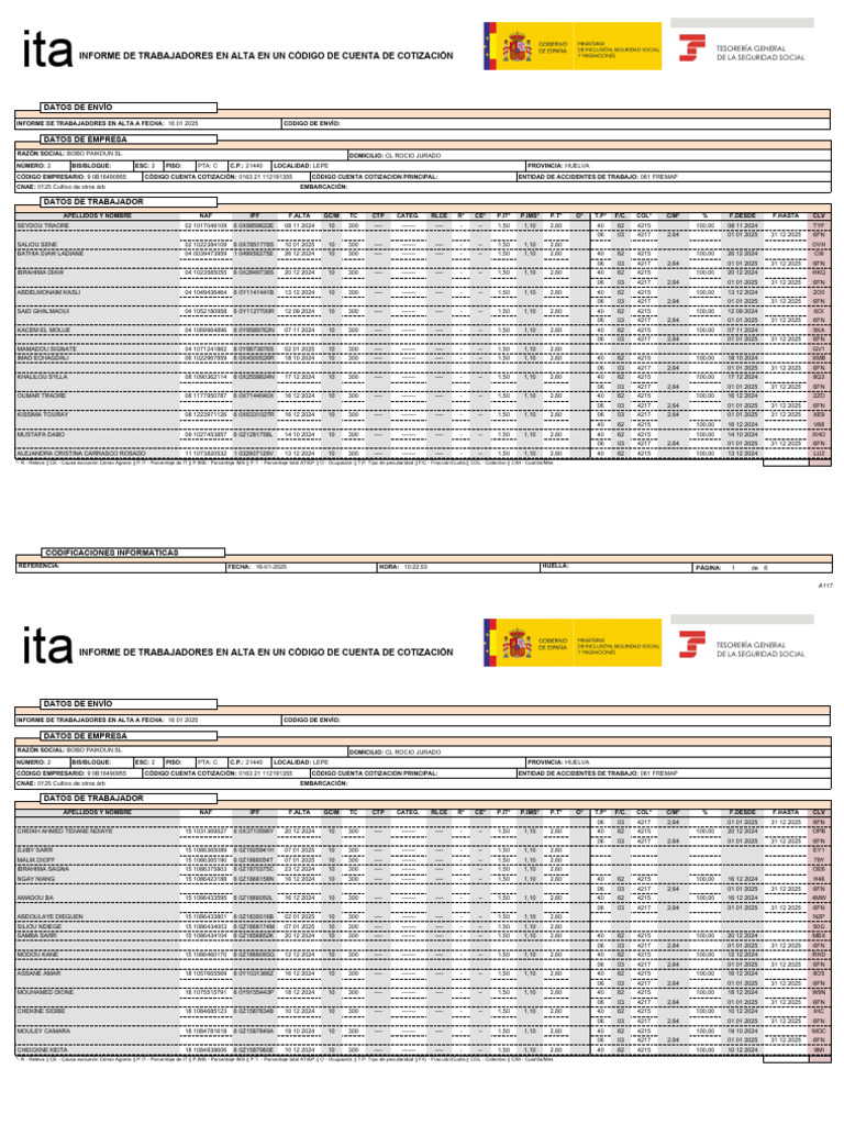Informe de Trabajadores en Alta en Un Código de Cuenta de Cotización | PDF