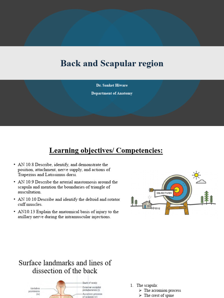 Lecture - Back and Scapular Region - Dr. SDH - Copy | PDF | Shoulder | Arm