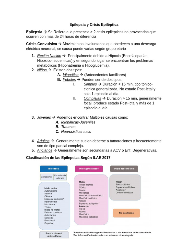 Epilepsia y Crisis Epiléptica | PDF | Epilepsia | Medicina CLINICA