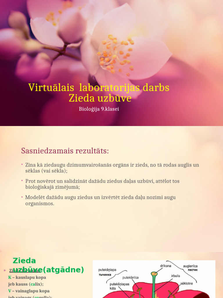 Virtualais Darbs Ziedi 9kl | PDF