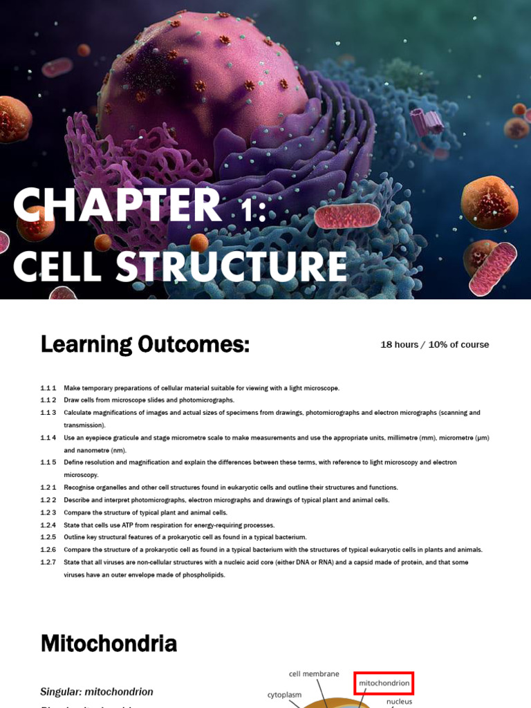 Cell Structure AS Level Biology | PDF | Mitochondrion | Photosynthesis