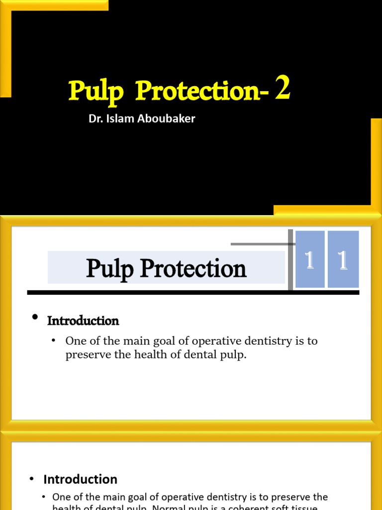7-Pulp Protection 2 - 030450 | PDF | Human Tooth | Dentistry