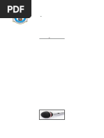 Grade 2 ICT Worksheet | PDF