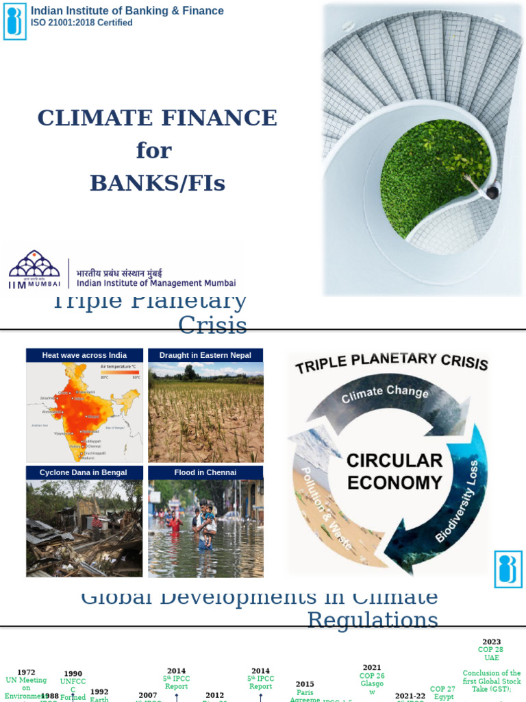 Climate Finance - IIM M | PDF | Emissions Trading | Business