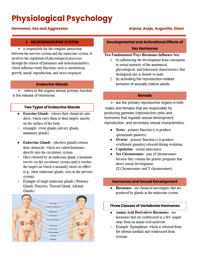 Group 7 Hormones Sex and Aggression | PDF | Endocrine System | Puberty