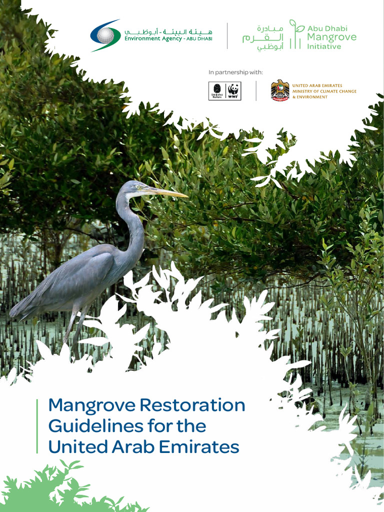 EAD6735 - MANGROVE INITIATIVE GUIDELINES - v10b | PDF | Ecological ...