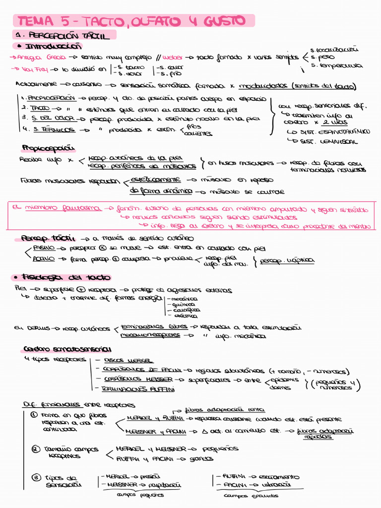 Esquema T5_250114_131743 | PDF