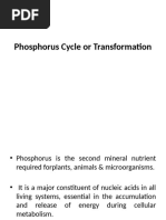 Phosphorus Estimation: Olsen & Bray Methods | PDF | Ph | Soil