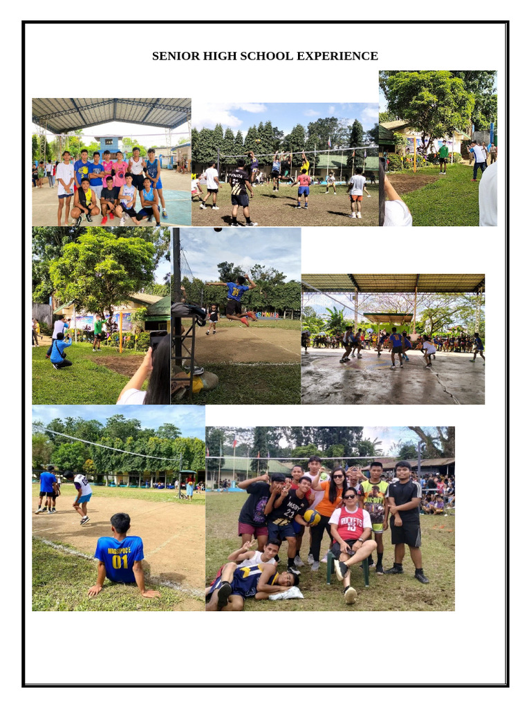 Senior High School Experience | PDF