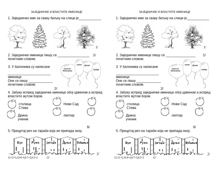 Zajednicke I Vlastite Imenice | PDF