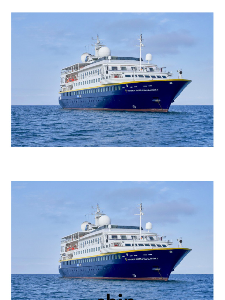 The Poor Bunny's Magic Presen | PDF