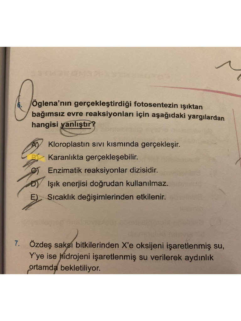 03BDCC1D-8D33-421B-80CC-CF3F54574BAF | PDF