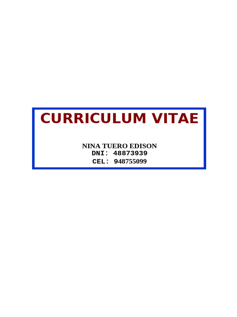 Curriculum Vitae Edison Nina | PDF | Informática