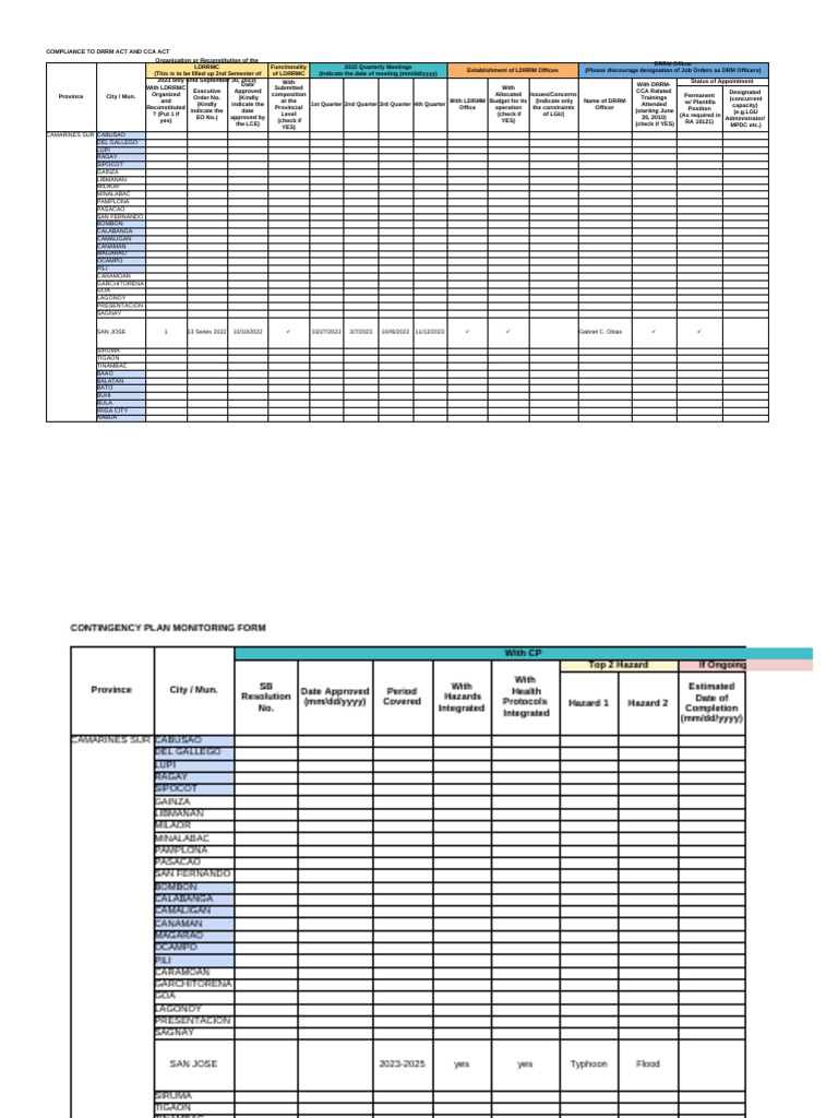DILG Monitoring Form | PDF