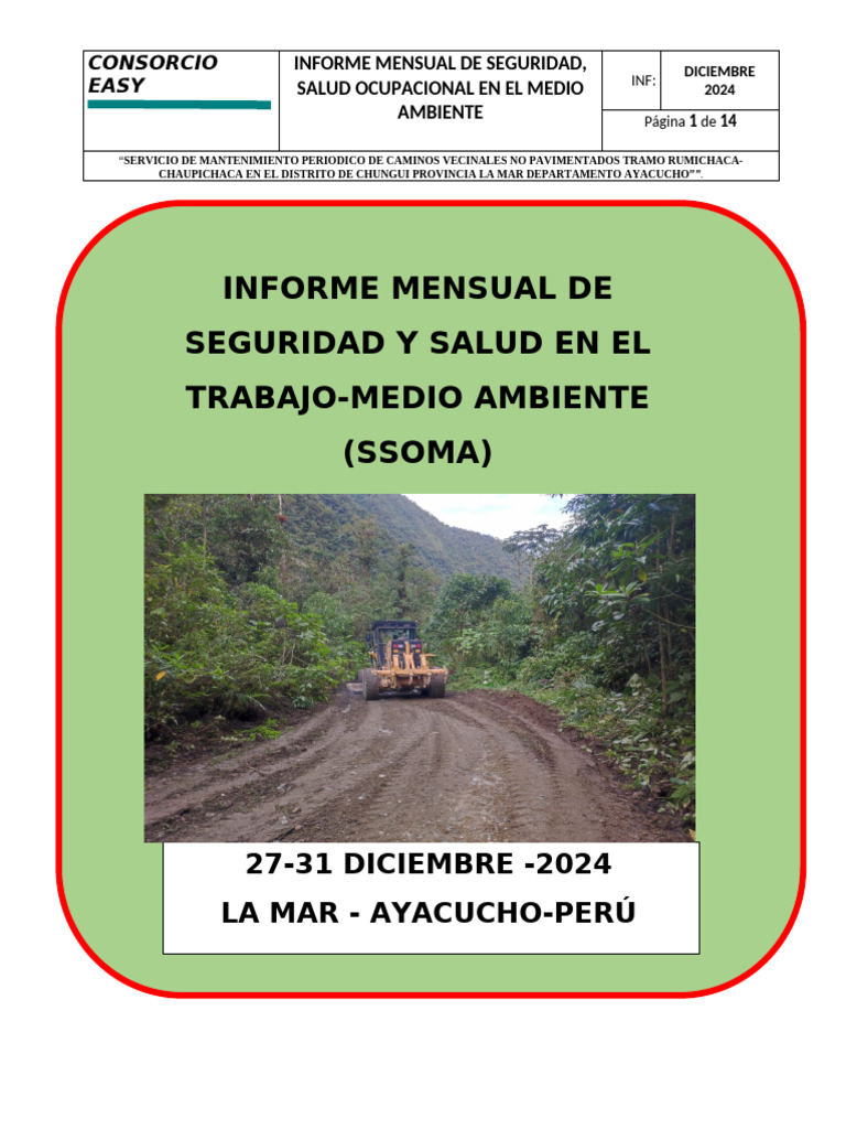 INFORME DE SEGURIDAD DICIEMBRE 2024 | PDF | Seguridad y salud ocupacional
