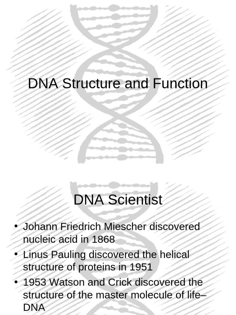 DNA Structure and Function Overview | PDF | Dna | Dna Replication