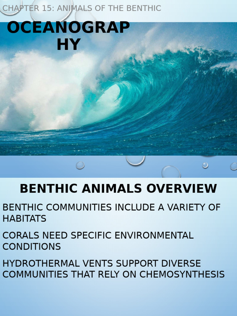 Chapter_15_Benthic_Animals | PDF | Coral Reef | Coral