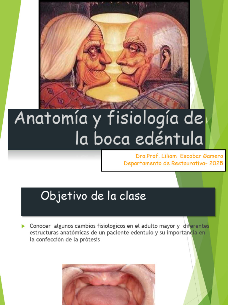 Anatomía y Fisiología de la Boca Edéntula | PDF