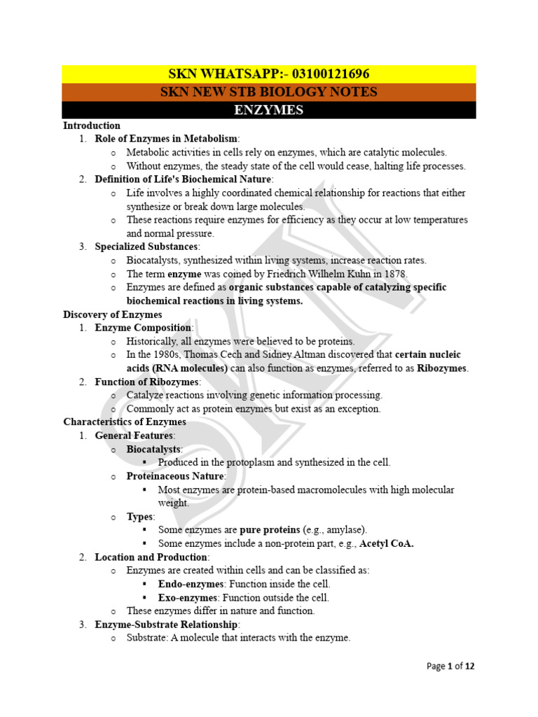 Enzyme Key Point Notes NEW STB Biology by SKN | PDF | Enzyme | Enzyme ...