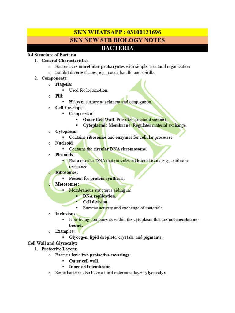 Bacteria Key Point Notes New Stb Biology by Skn | PDF | Bacteria | Gram ...