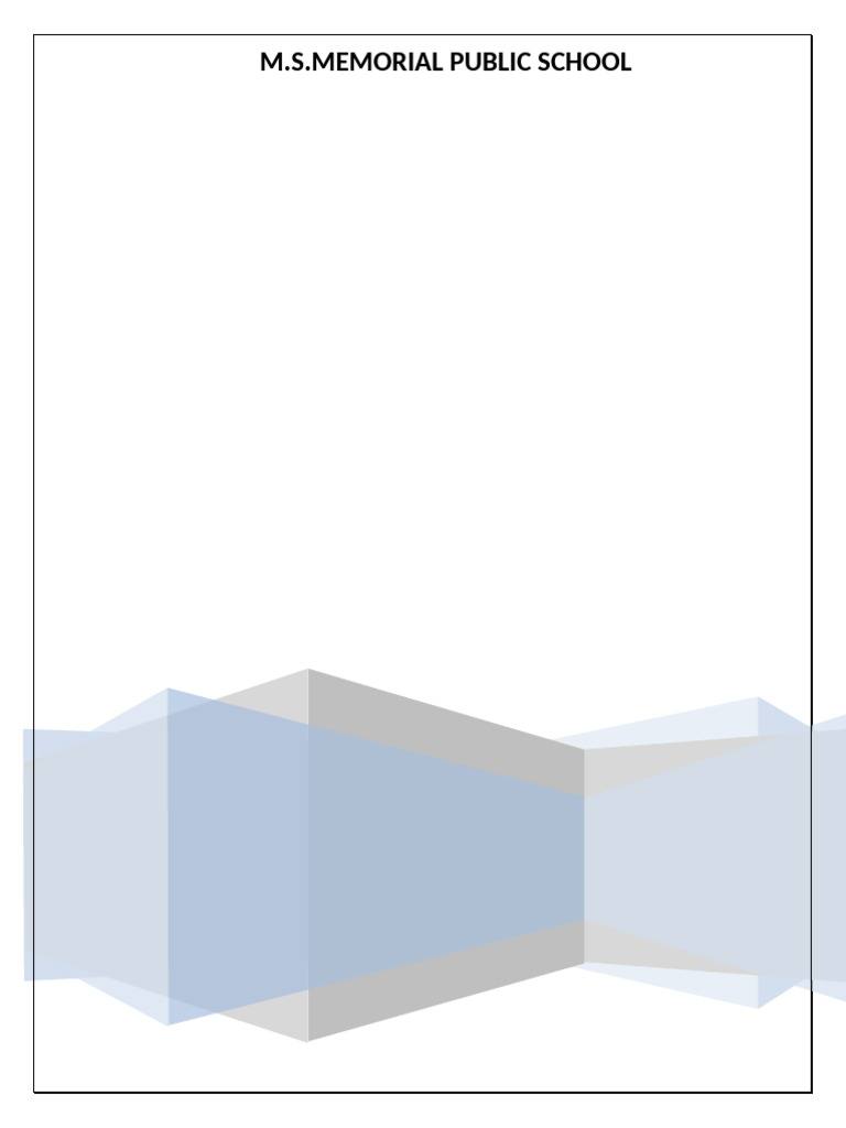 Practical Report File Class 12 CS | PDF | Software Engineering | Computing