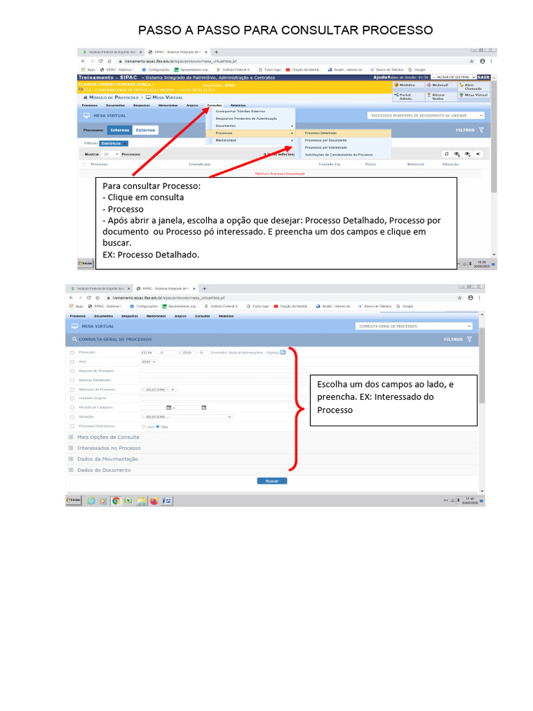 Tutorial Consulta Processo | PDF