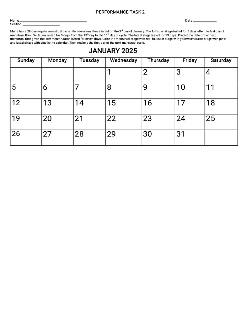 Menstrual Cycle Calendar Task | PDF