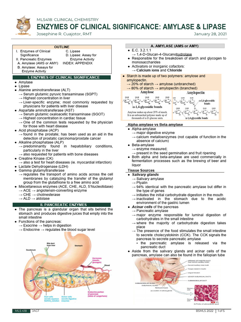 MLS418LAB - P2 - Amylase and Lipase | PDF | Pancreas | Digestion