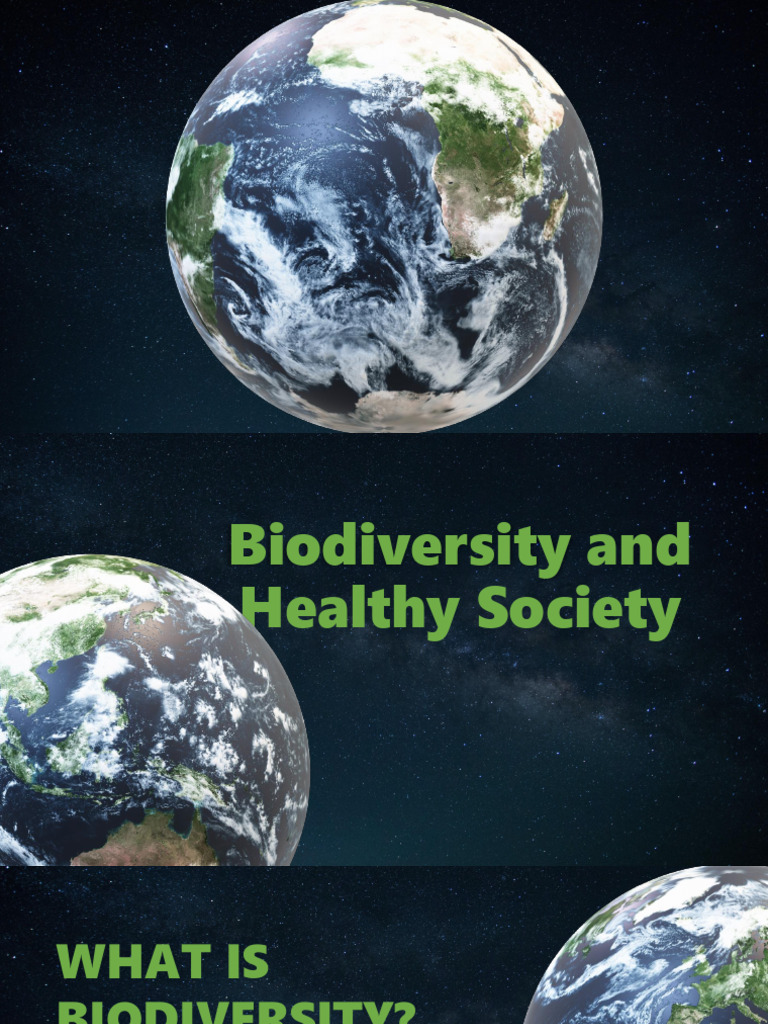 MODULE 1_ STS - Biodiversity | PDF | Biodiversity | Habitat Destruction