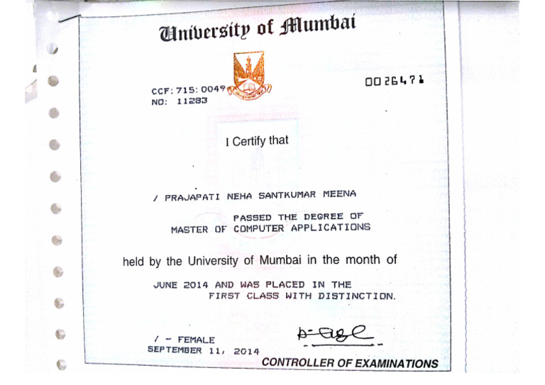 MCA certificate | PDF