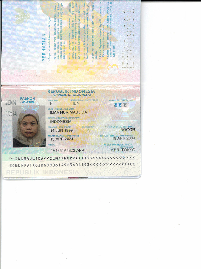 Passport & KTP Nema | PDF