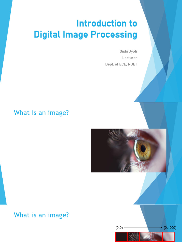 DIP_OJ_Part_A | PDF | Visual Perception | Medical Imaging