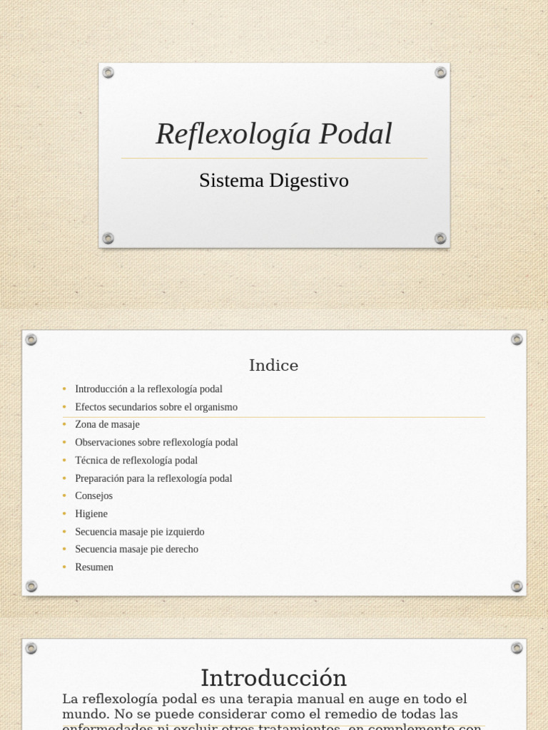 Curso Reflexologia Podal Sistema Digestivo | PDF | Reflexología | Medicina