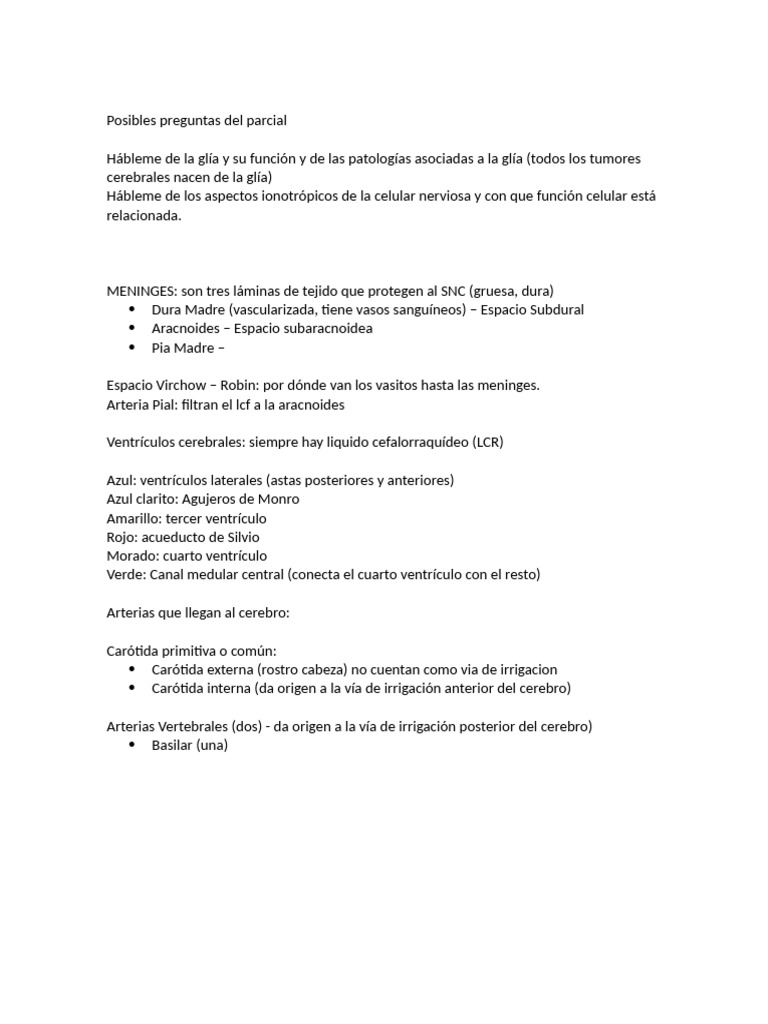 Posibles Preguntas Del Parcial | PDF