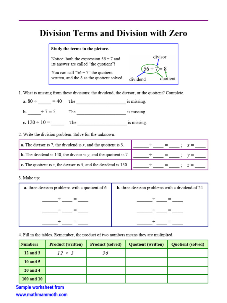 Division 2 Dvision Terms Division With Zero | PDF | Division ...
