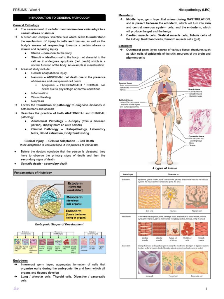 Histopathology LEC - Week 1 - Intro To Gen Pathology | PDF | Pathology ...