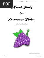 Esperanza Rising: Chapter Summaries | PDF